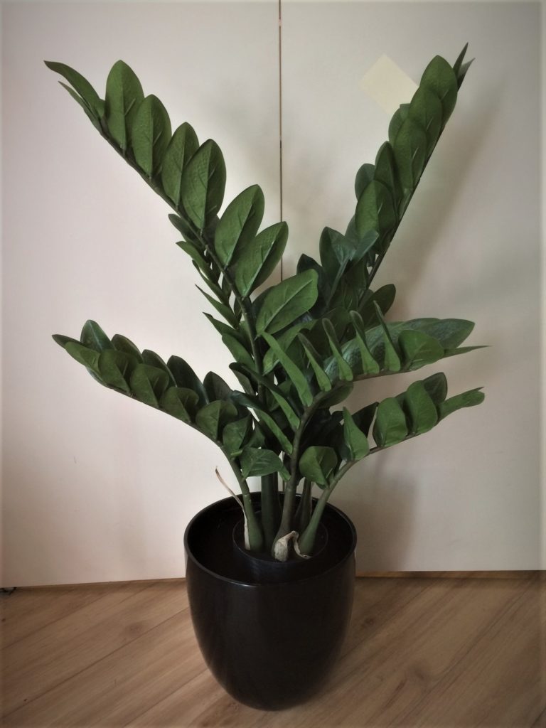 ZANZIBAR 75CM | Growum Fibreglass Planters